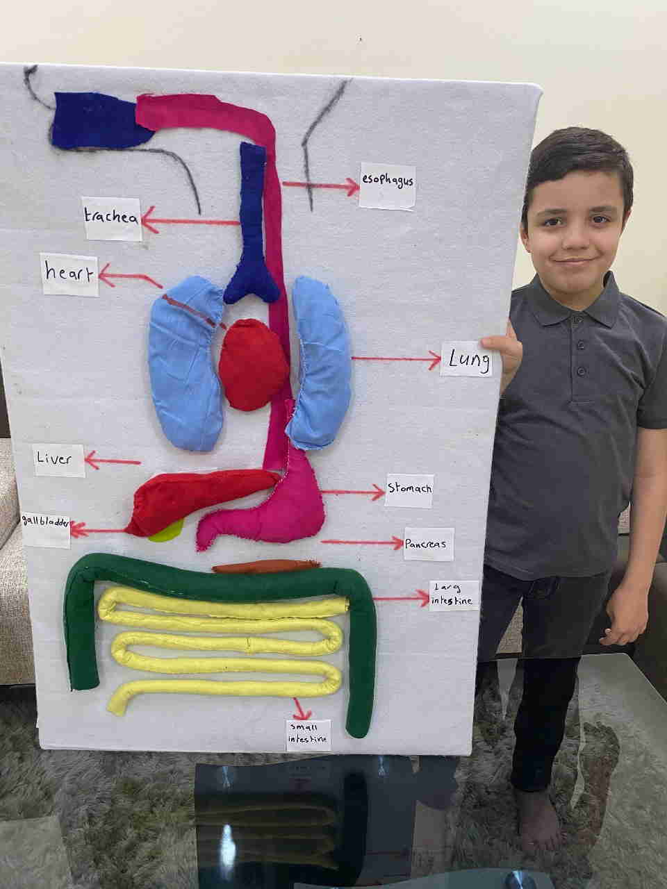 ||Al Hussan International|| Body Organ Systems Project for Grade 5