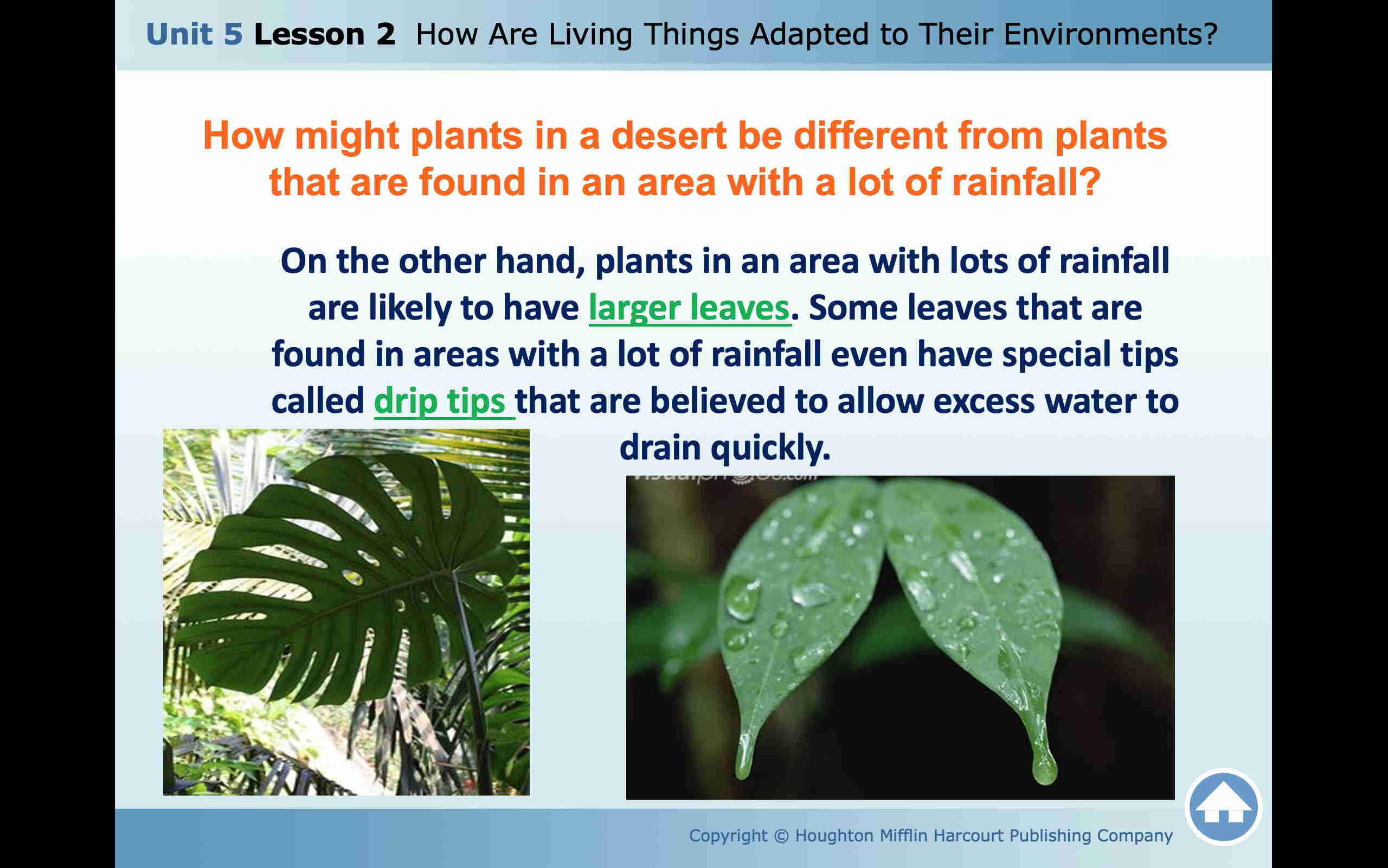 ||Al Hussan International|| Adaptation of Living Things - Part 1