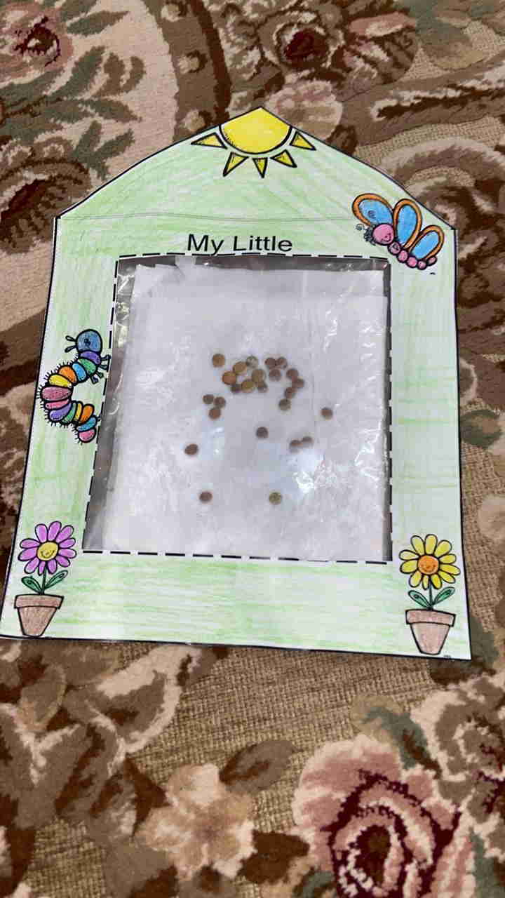 ||Al Hussan International|| My Little Sprout House - Elementary level