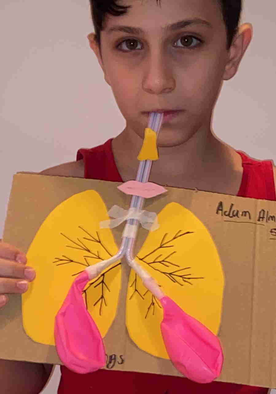 ||Al Hussan International|| Body Organ Systems Project for Grade 5