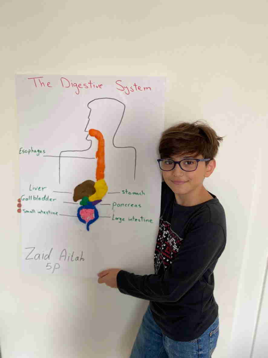 ||Al Hussan International|| Body Organ Systems Project for Grade 5