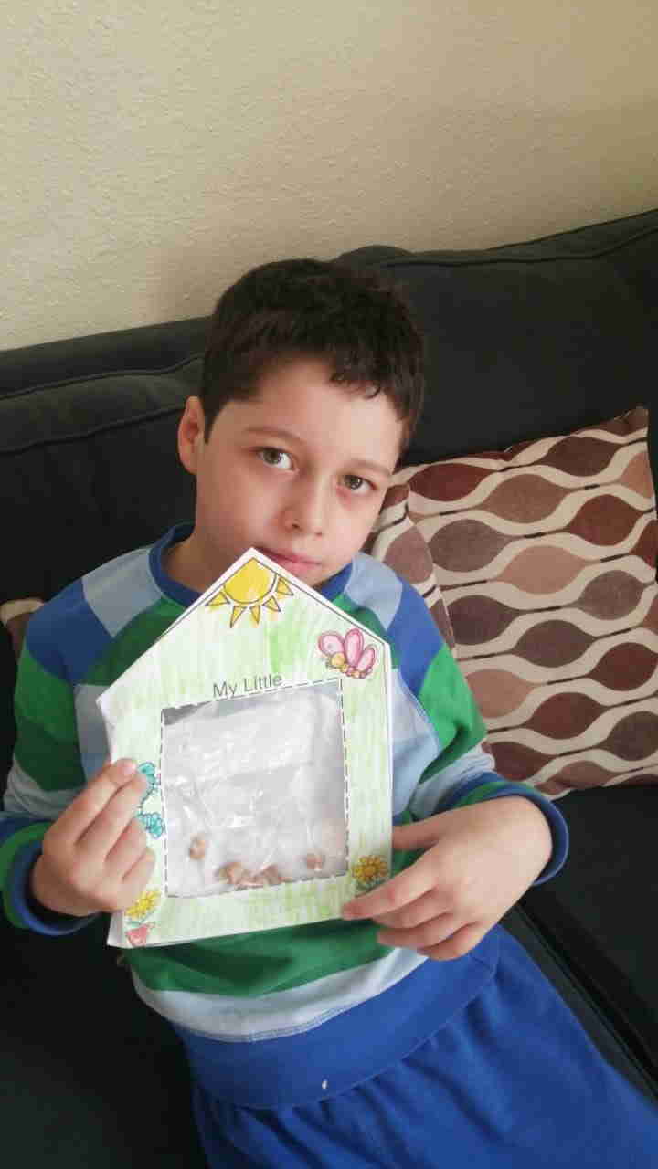 ||Al Hussan International|| My Little Sprout House - Elementary level