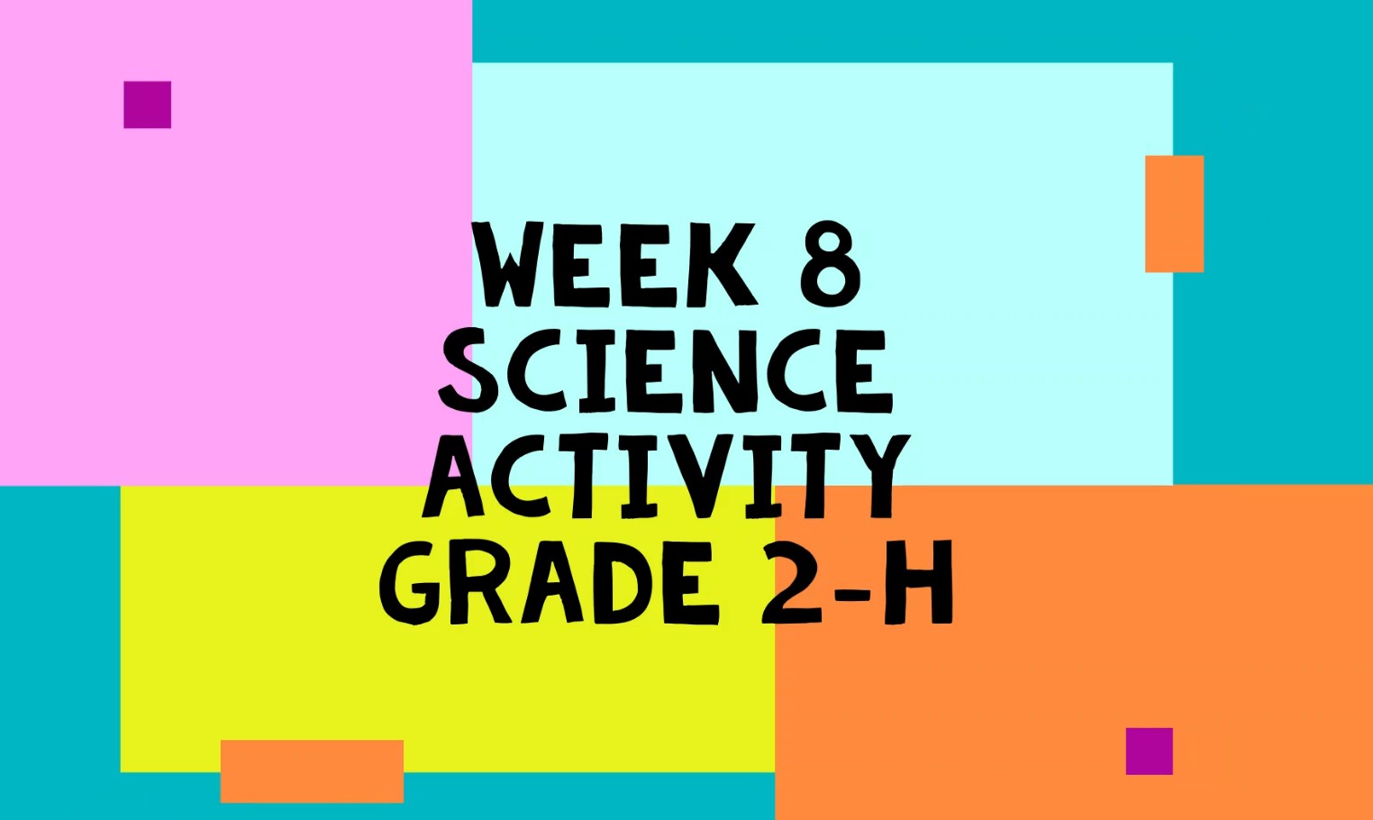 ||Al Hussan International|| Grade 2-H - Science Activity