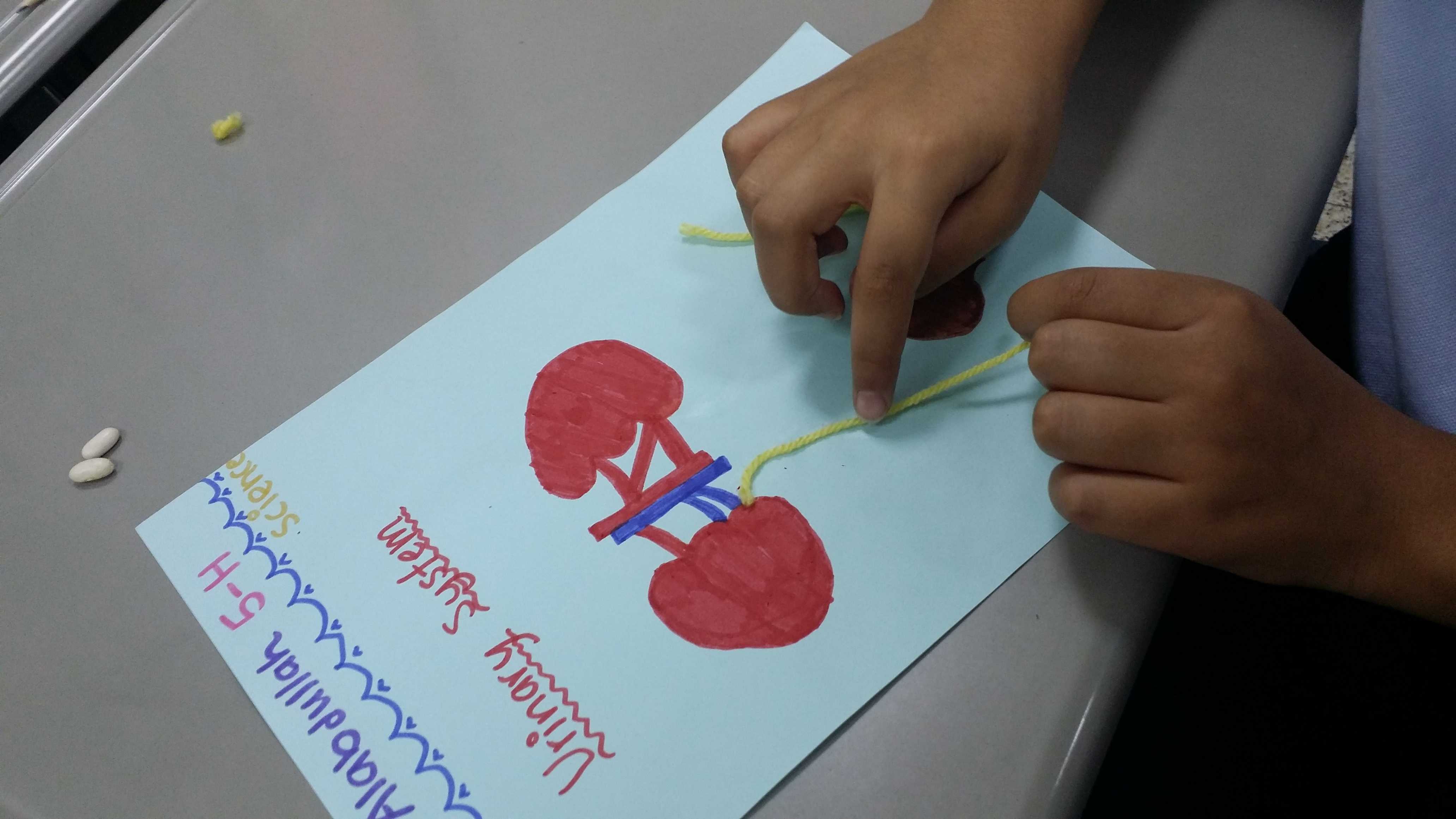 ||Al Hussan International|| Science activity grade 4 and 5