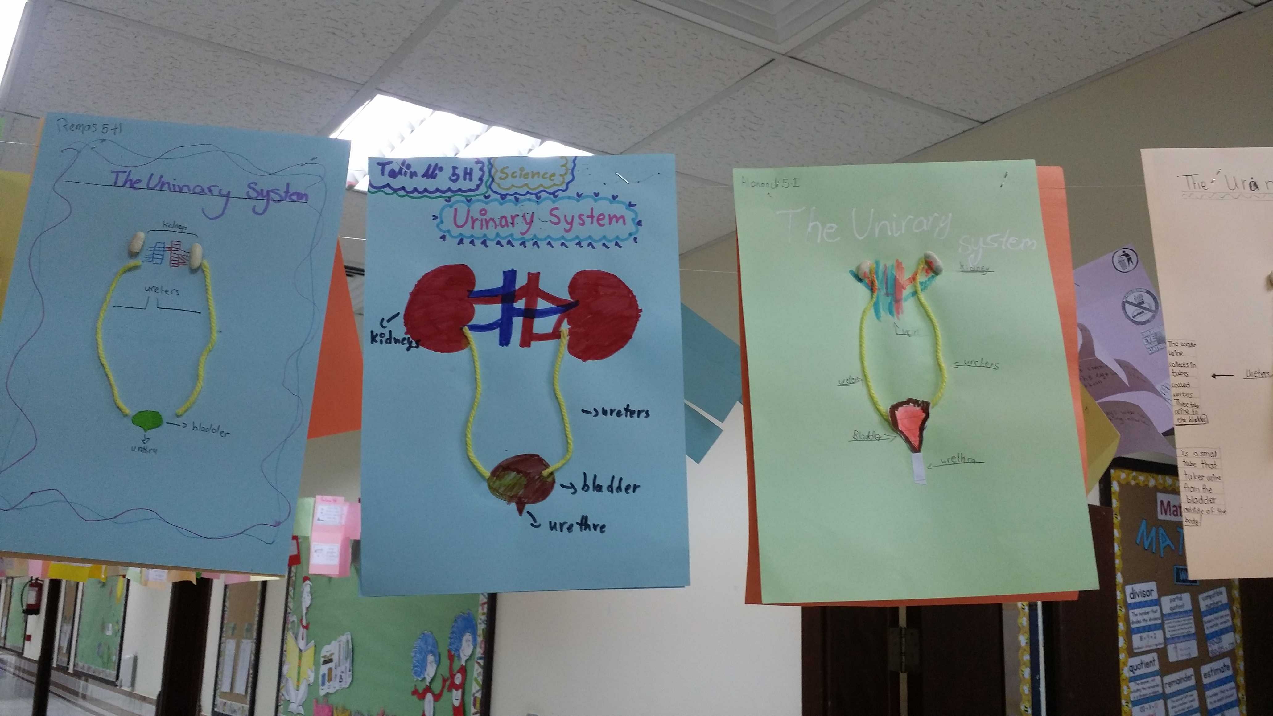 ||Al Hussan International|| Science activity grade 4 and 5