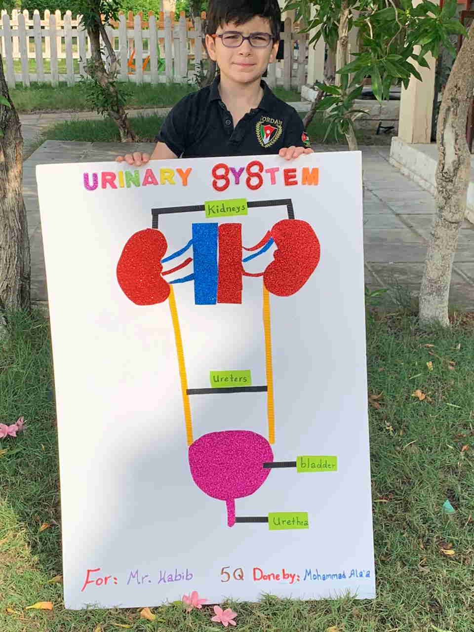 ||Al Hussan International|| Body Organ Systems Project for Grade 5